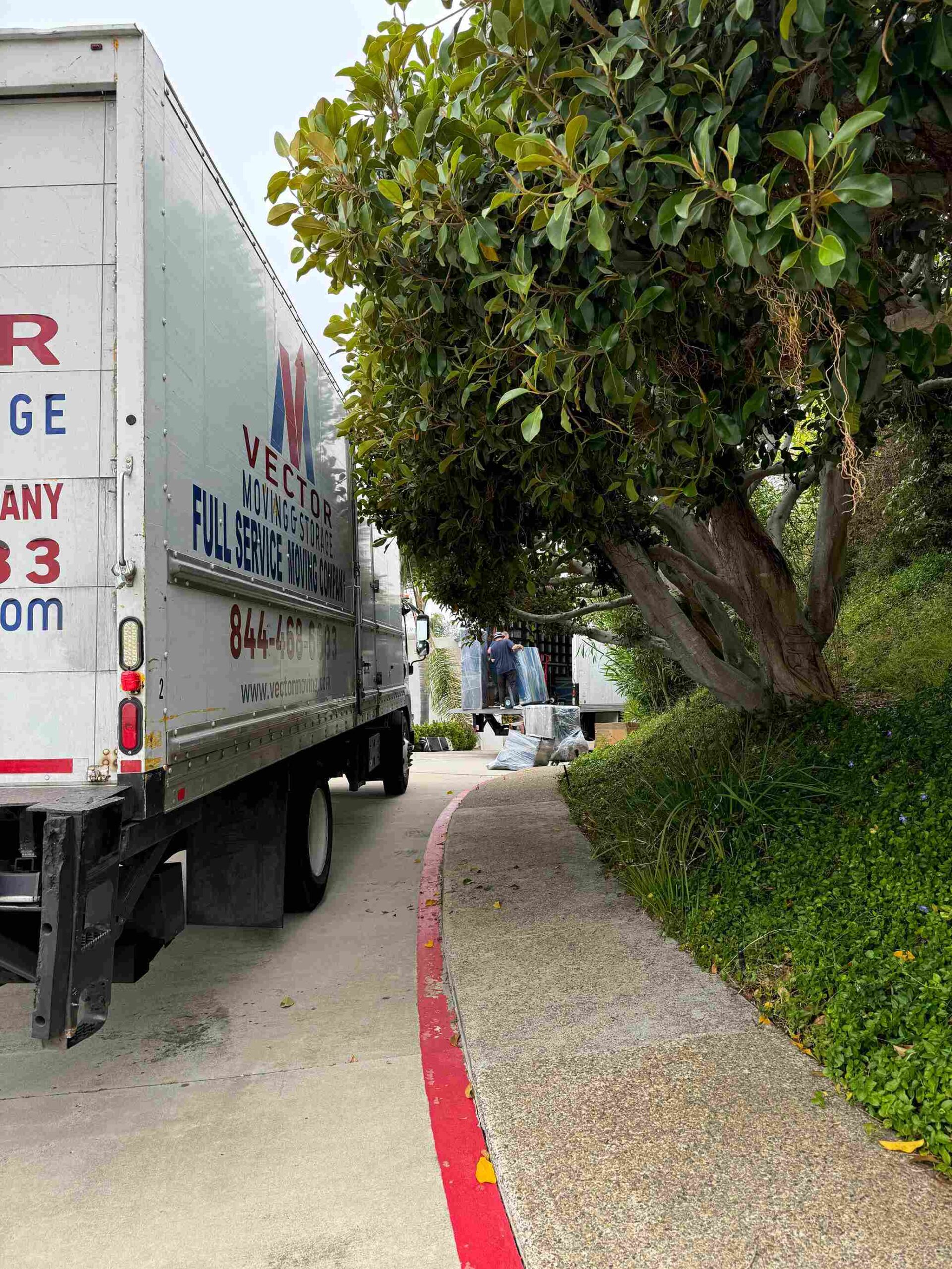 Moving to & Living in La Mesa,: Vector Moving and Storage