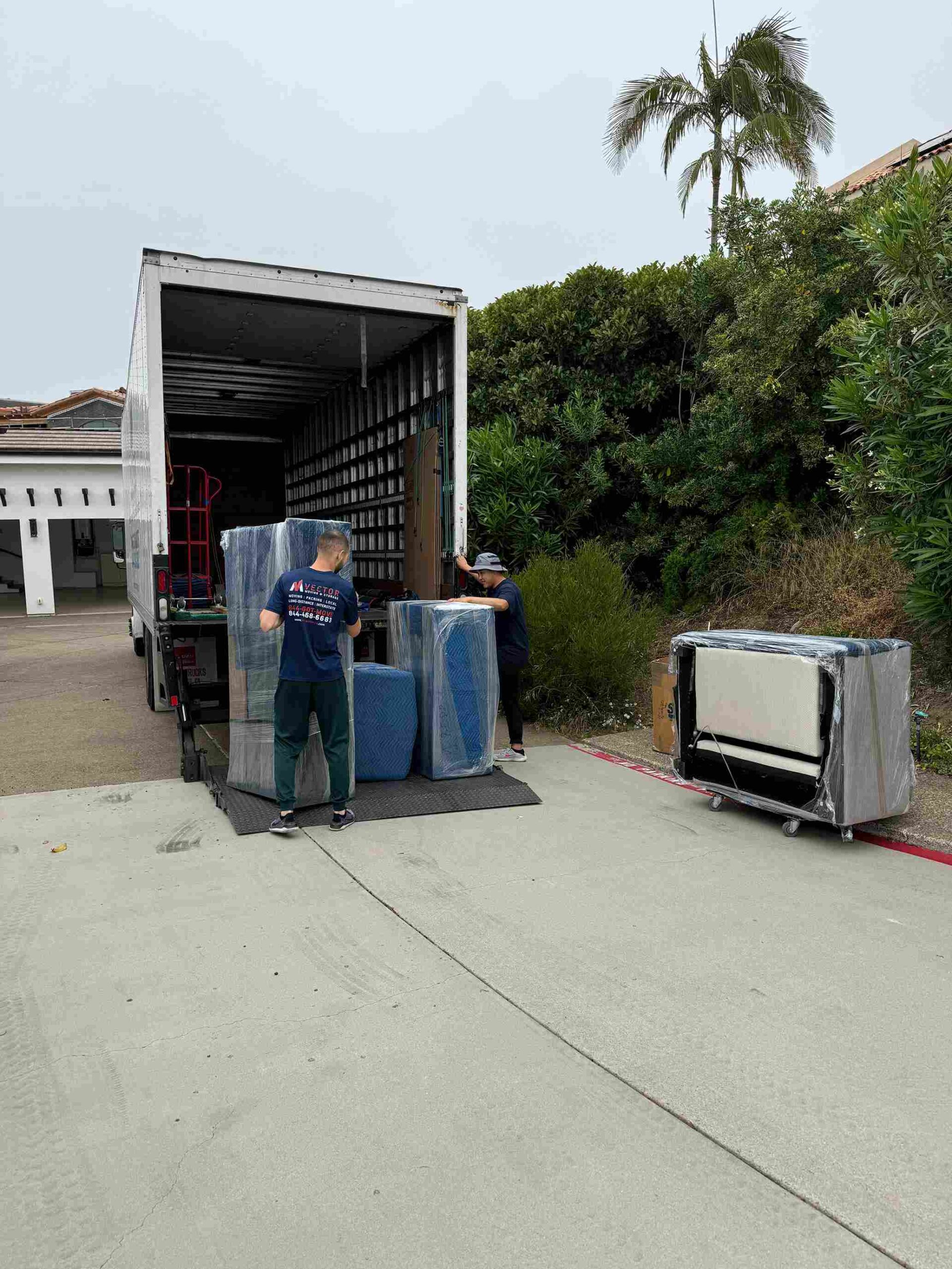 Moving to Living in Arizona: A Comprehensive Guide by Vector